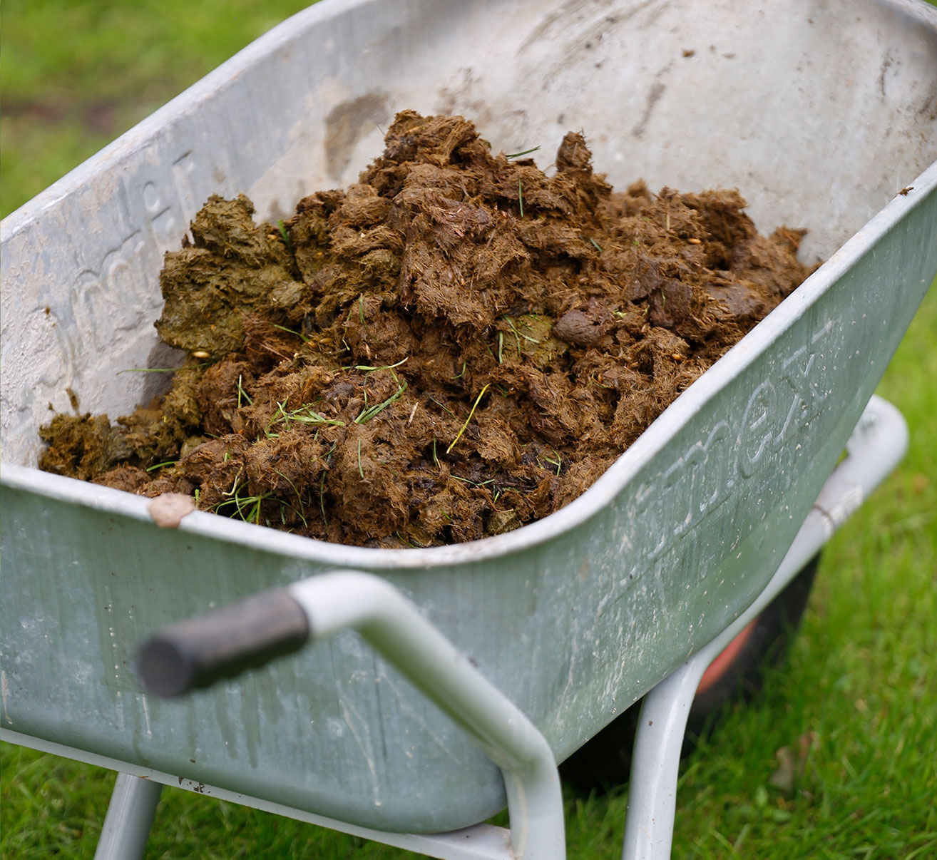Obst und Gemüse aus dem Garten | Homefarming