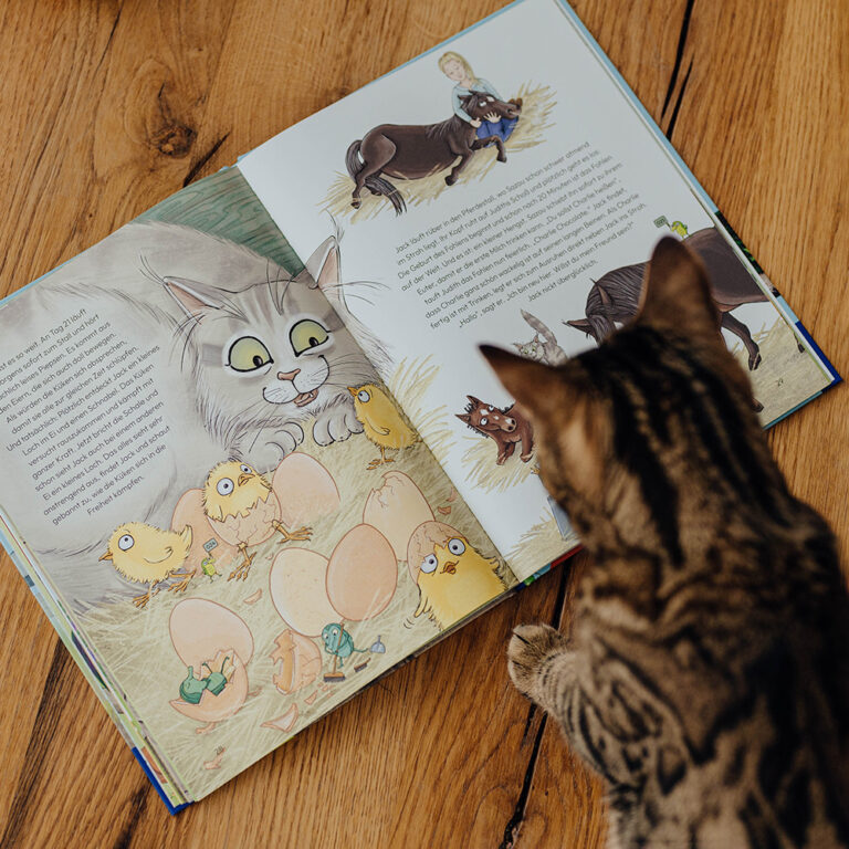 Kinderbuch: "Judiths kleine Farm: Kater Jack sucht einen Freund ...