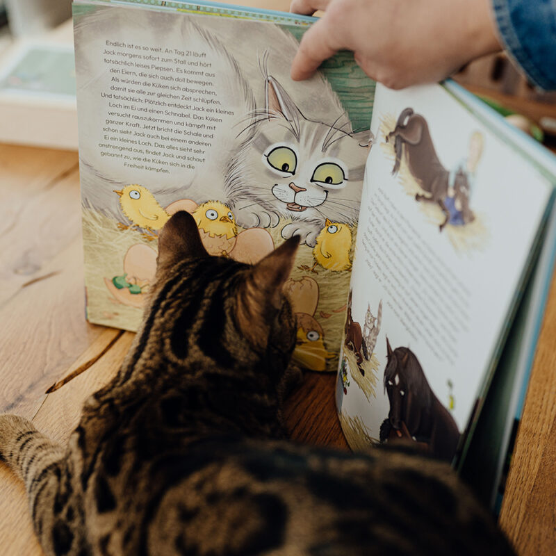 Kinderbuch: "Judiths kleine Farm: Kater Jack sucht einen Freund ...