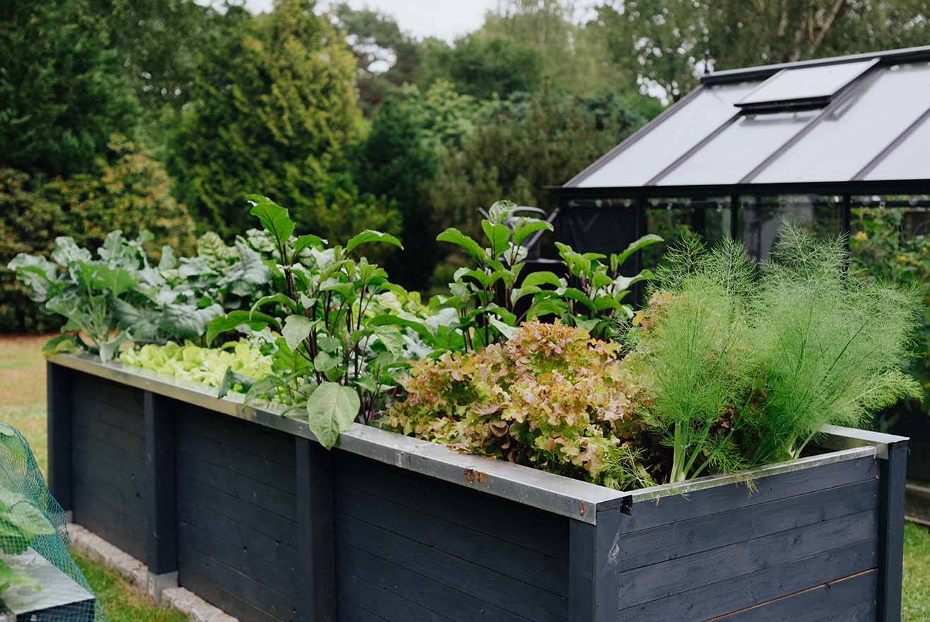 So baust du ein Hochbeet | Homefarming