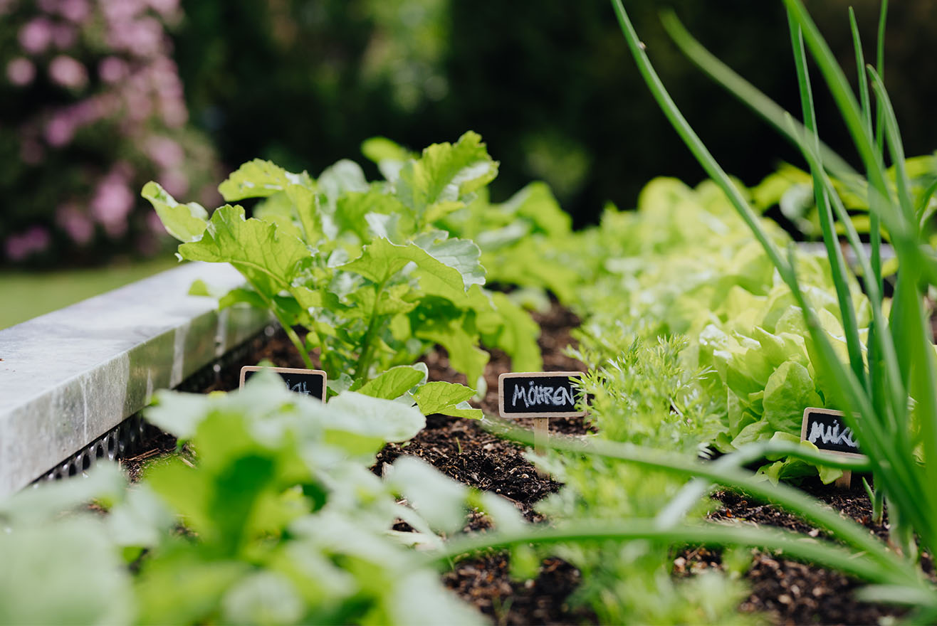 Beetnutzung und Fruchtfolge im Hochbeet | Homefarming